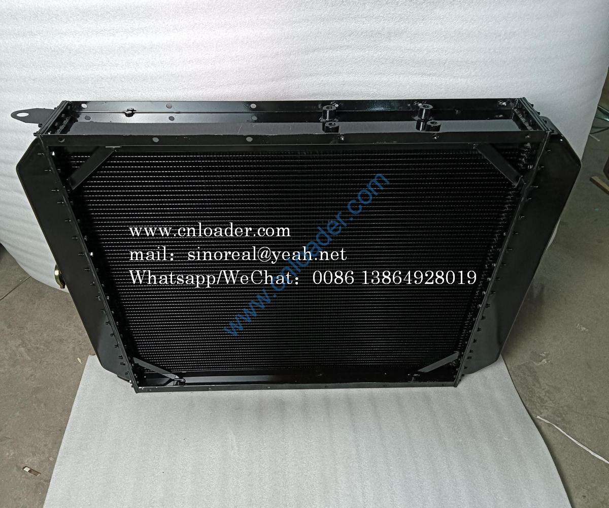 Water radiator assembly 4110000481 – SINOREAL
